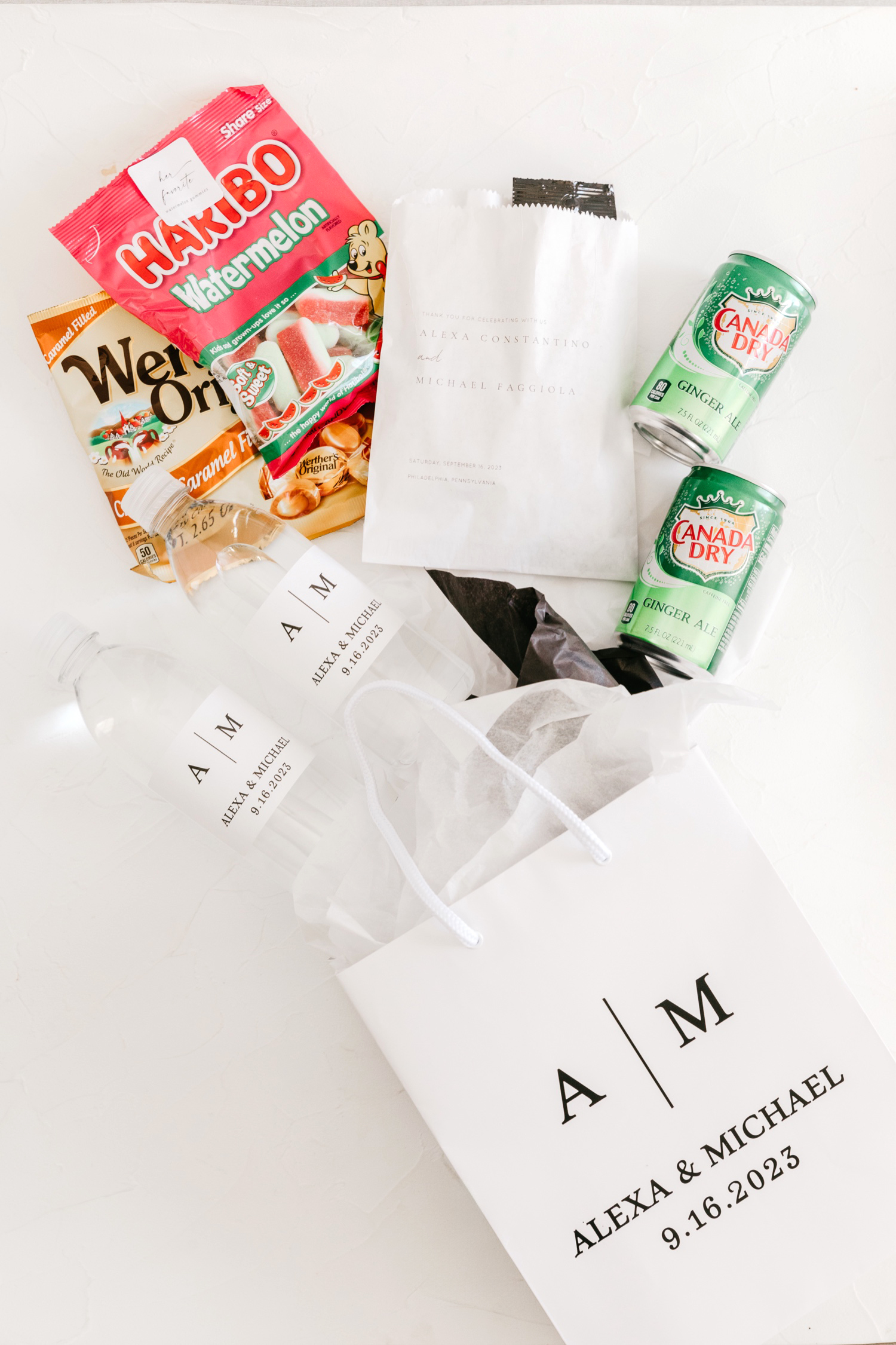 Golden Romance: Alexa & Mike's Stunning Wedding at Water Works | Emily ...